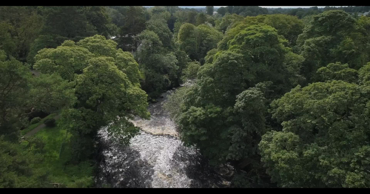 Meet The Family | Galgorm Collection